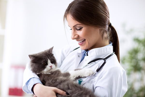 #1 Veterinary Staffing Agency in the Nation | Contact Us Today